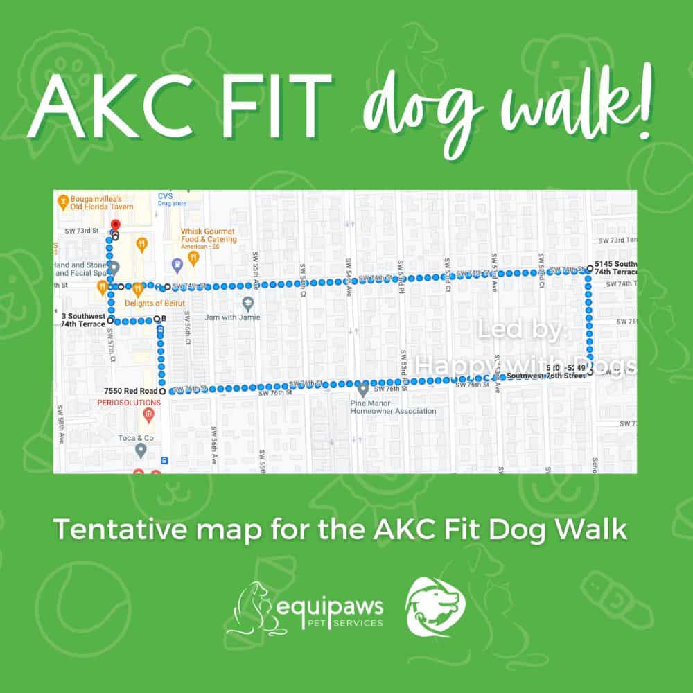Join us for an AKC Fit Dog Walk in South Miami! - Equipaws Pet Services